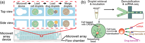 ZidaLab | Shenzhen University